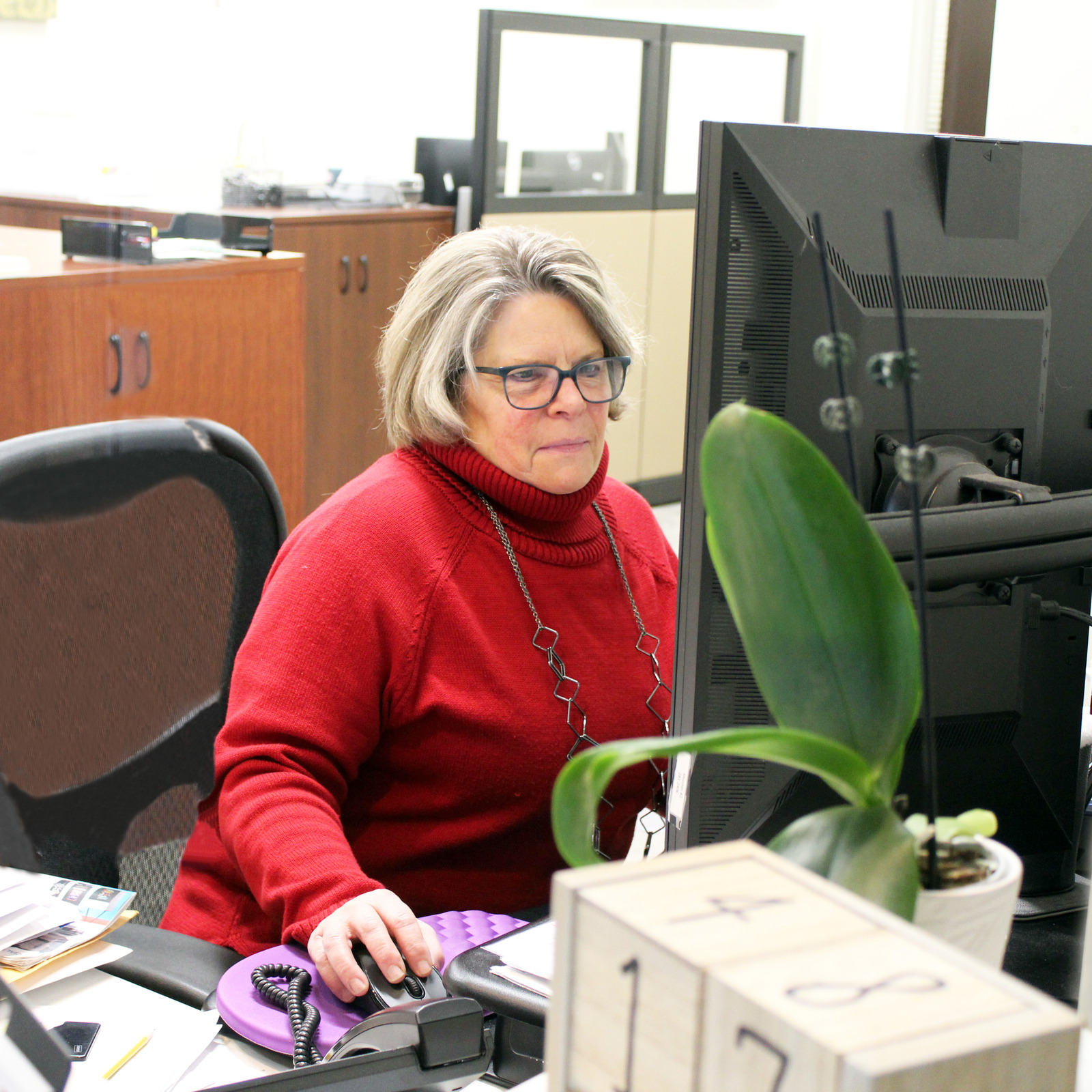 Expert Accounting & Advisory Services