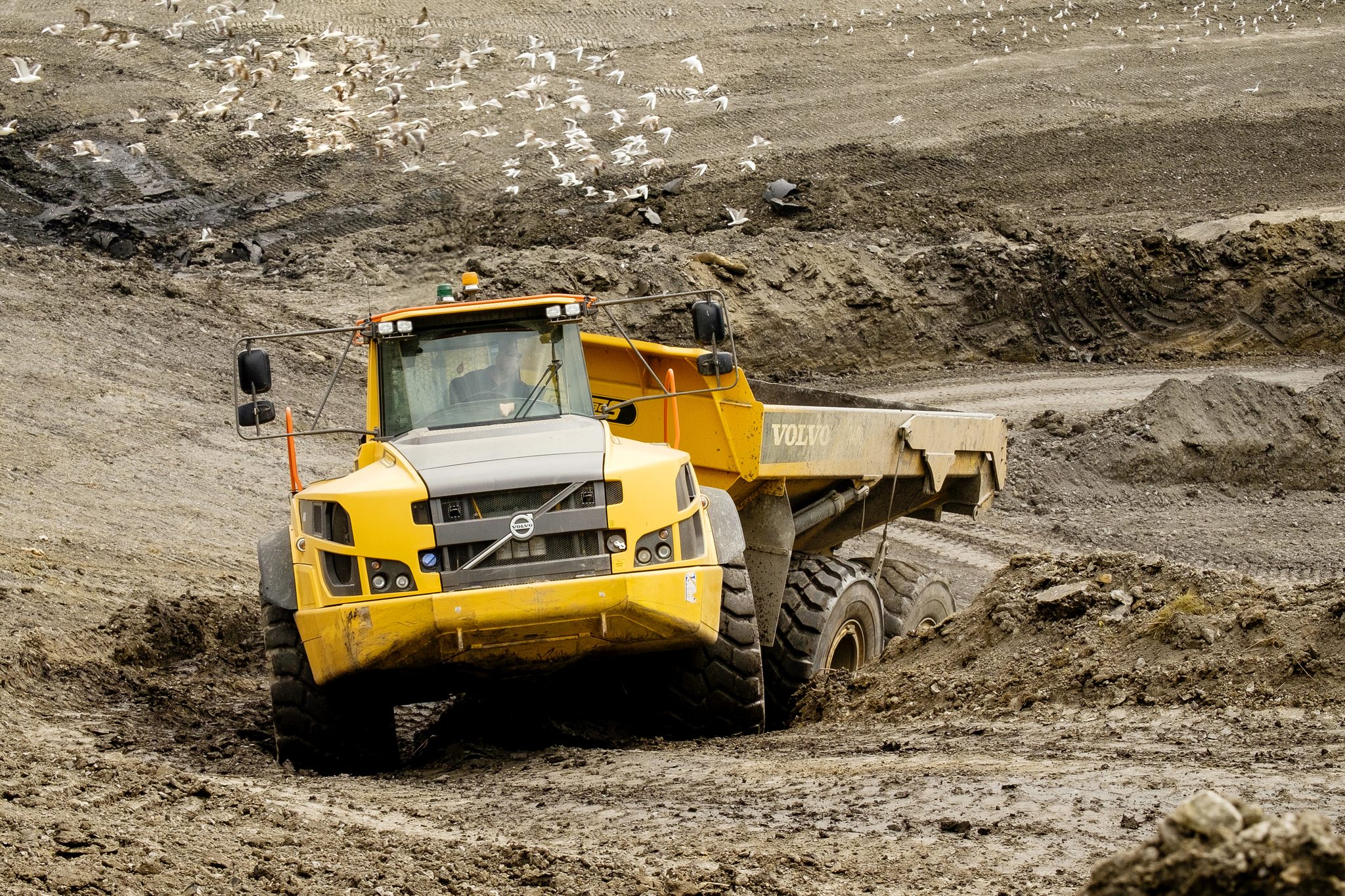 Plant operation - Jones Bros. UK careers