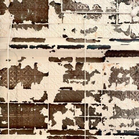 News - Moore Street School Richmond